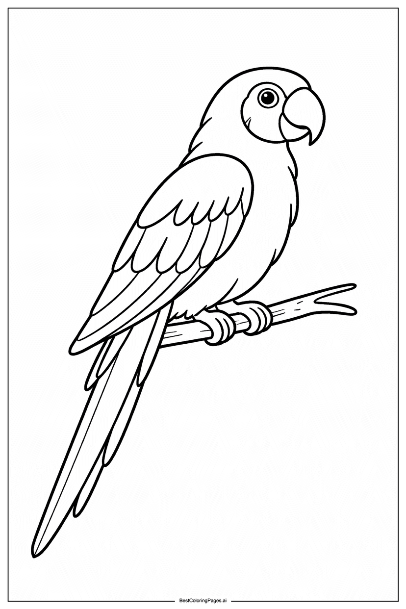 Perroquet tourné vers la droite Coloriages - Gratuit Imprimable ...