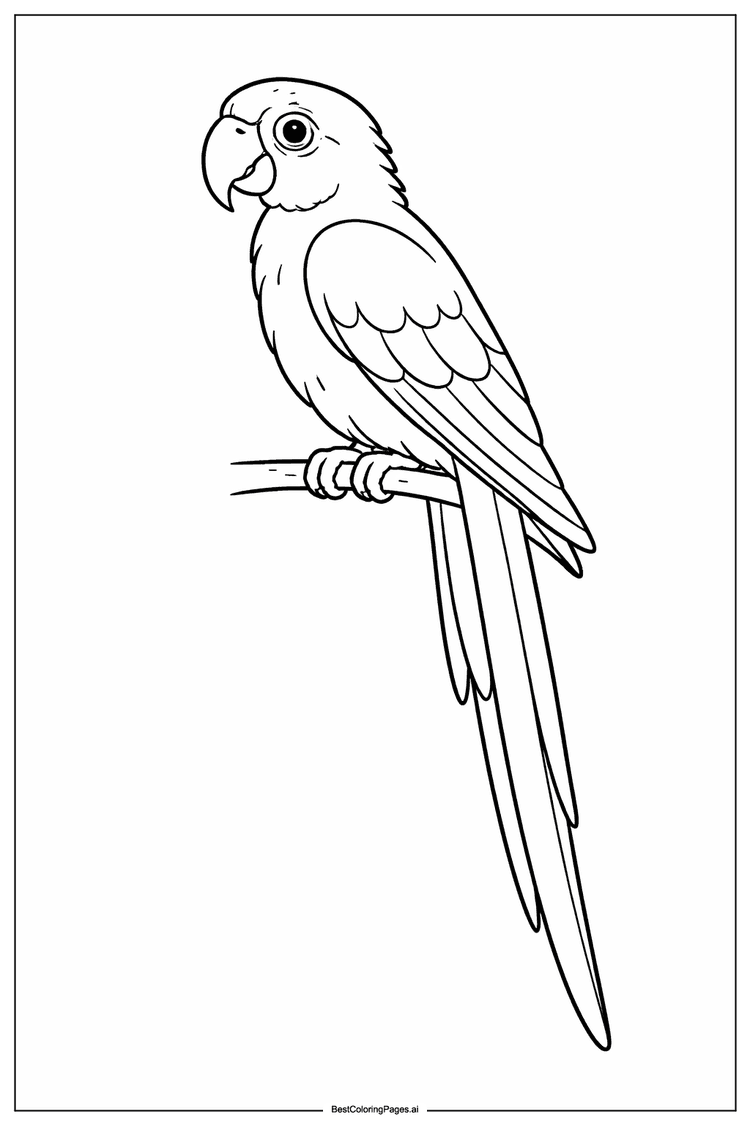 Perroquet à longue queue Coloriages - Gratuit Imprimable ...